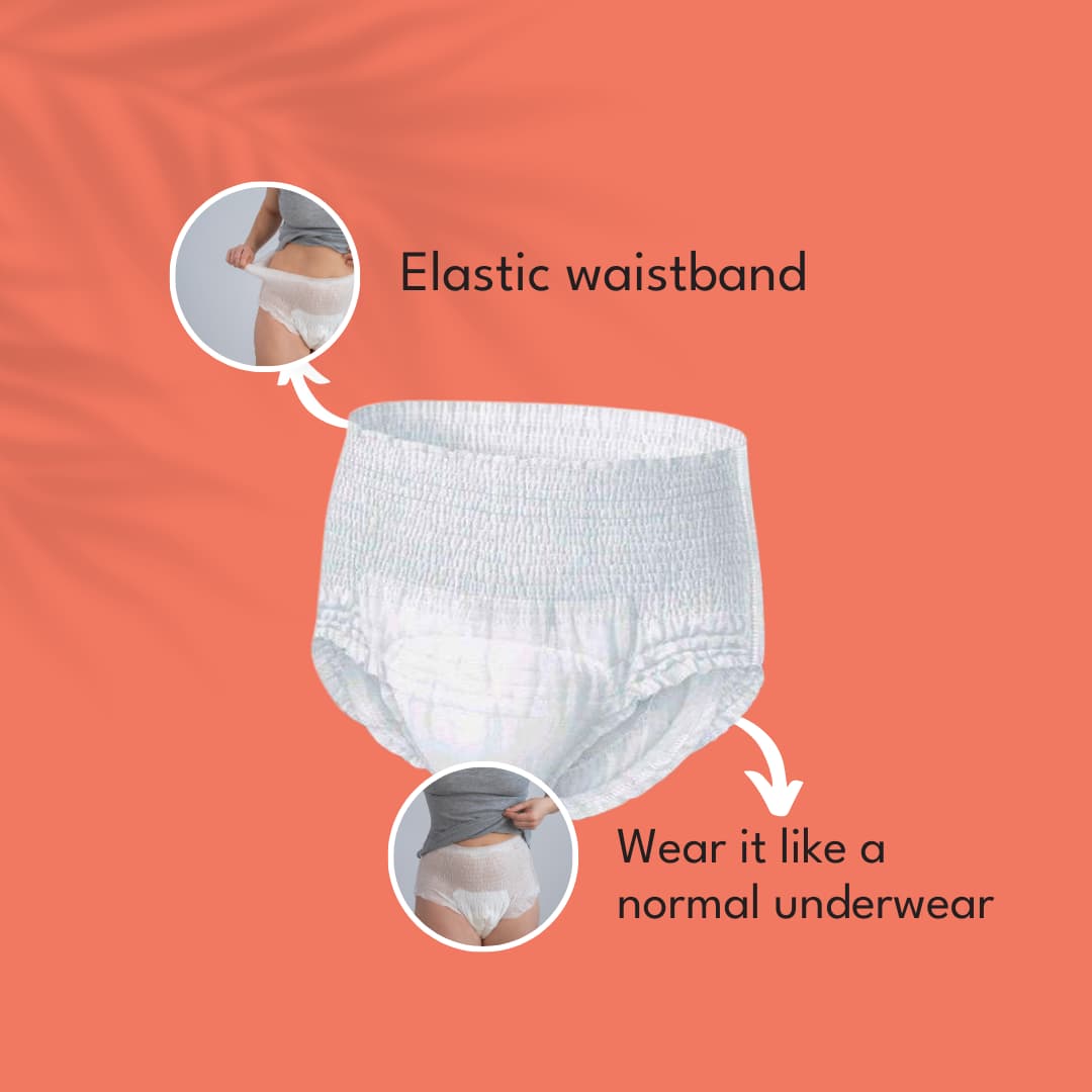 Pant Type Adult Diaper (10pcs) » Vebilia | Best Adult Diapers